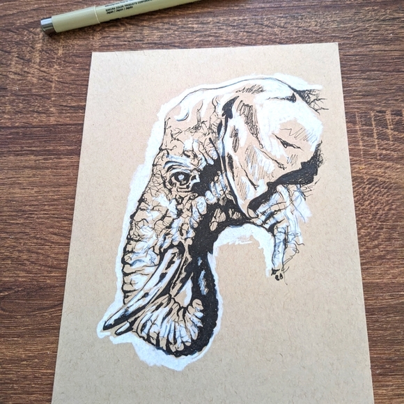 Home Interiors | Art | Elephant Ink Drawing Original 6x8 | Poshmark